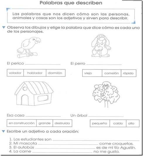 Ejercicio Adjetivos calificativos – primer grado de primaria